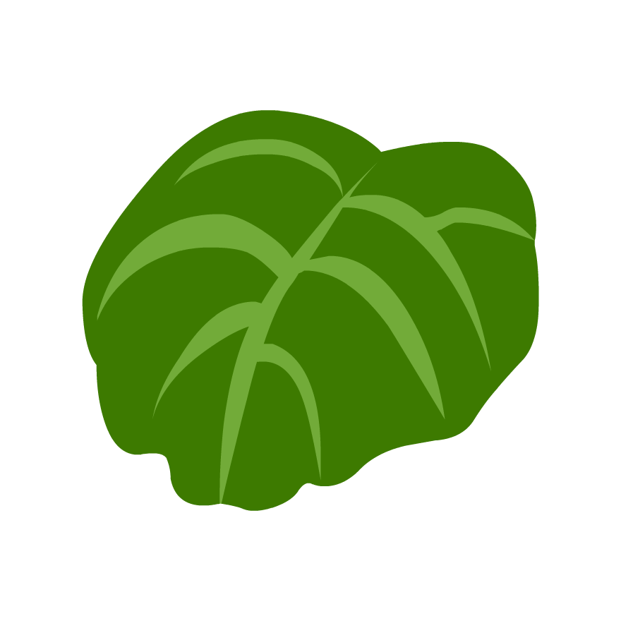BrainPOP