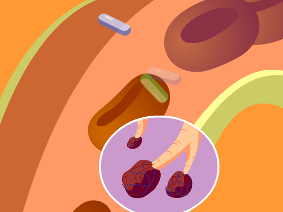 BrainPOP