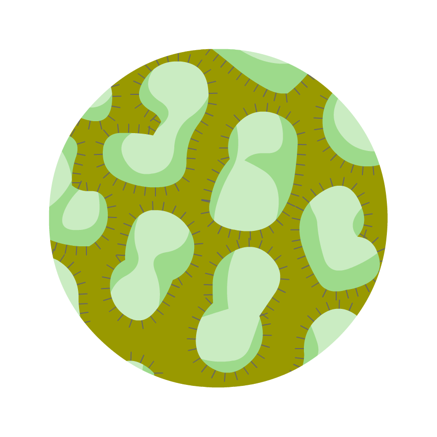 BrainPOP