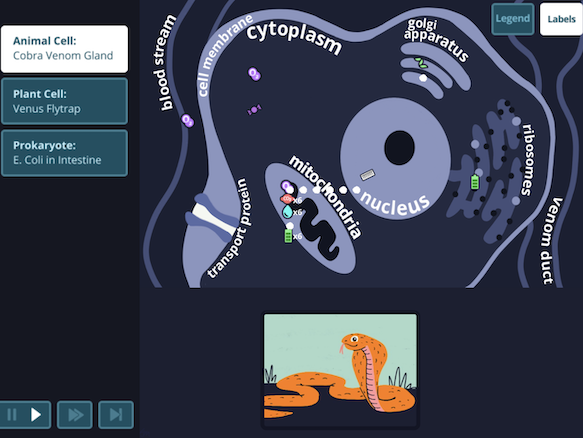 BrainPOP Science