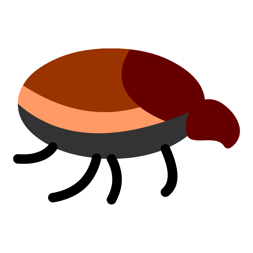 BrainPOP