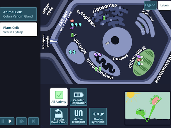BrainPOP Science