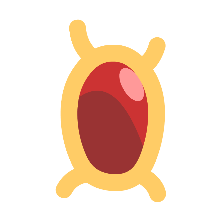 BrainPOP