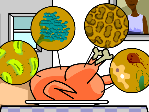BrainPOP