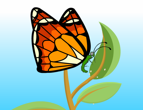 BrainPOP JR