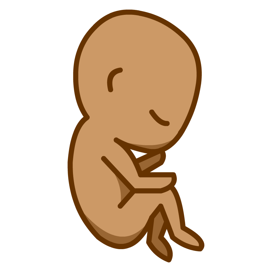 BrainPOP