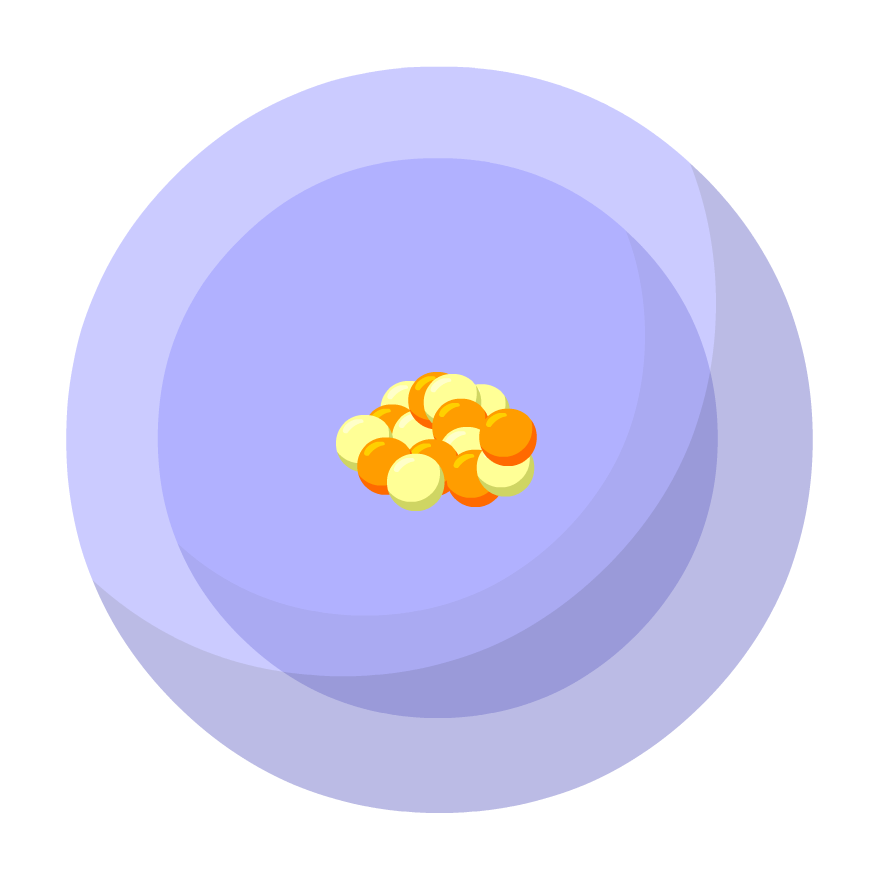 BrainPOP