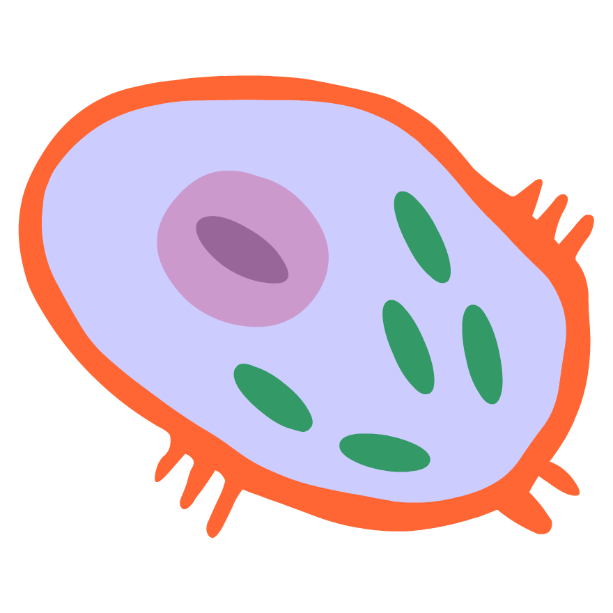 BrainPOP