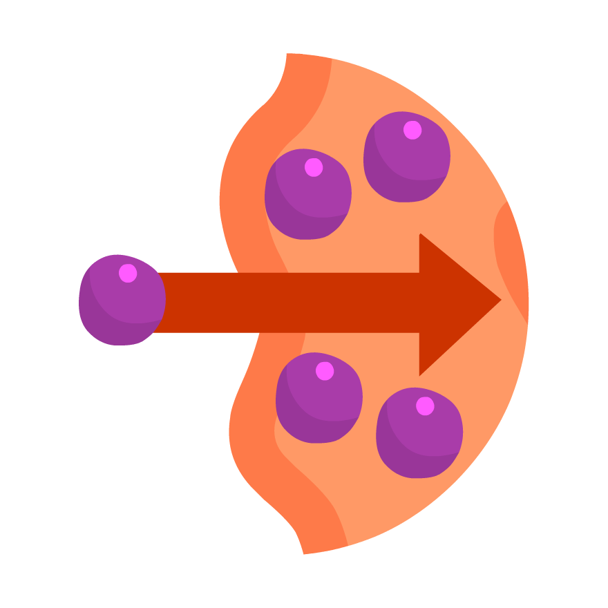 BrainPOP