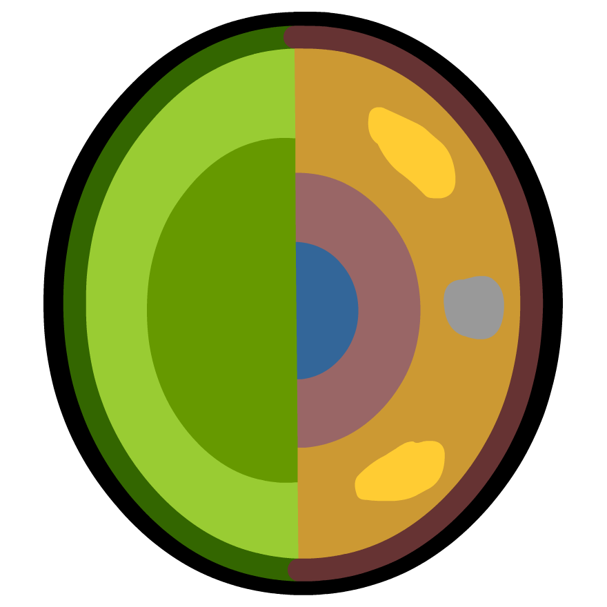 BrainPOP