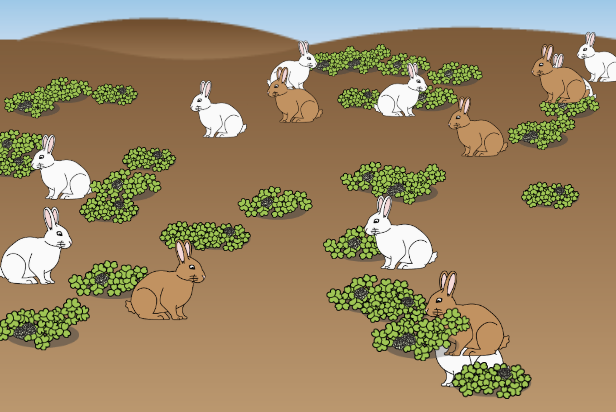 BrainPOP Science
